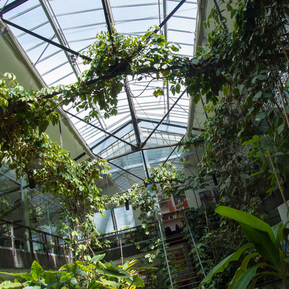 La maison cabane - Sandrillon In Lyon